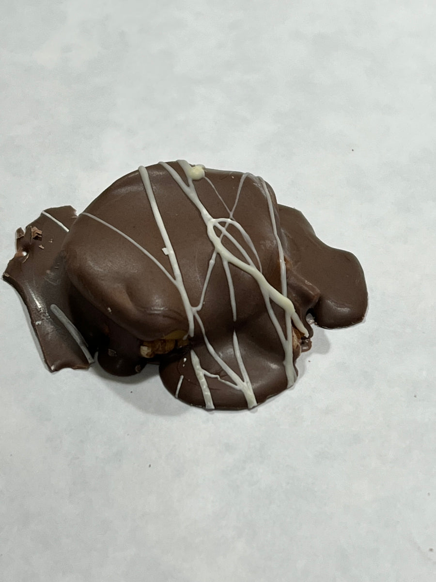 Gourmet Chocolate Caramel Turtle Shell – Chocolate Legacy